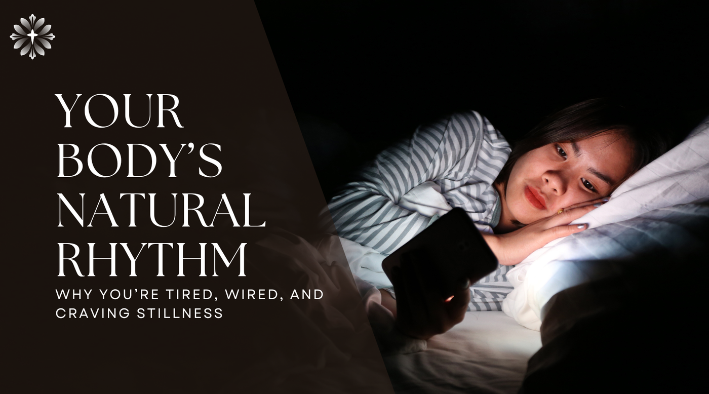 Your Body’s Natural Rhythm: Why You’re Tired, Wired, and Craving Still ...
